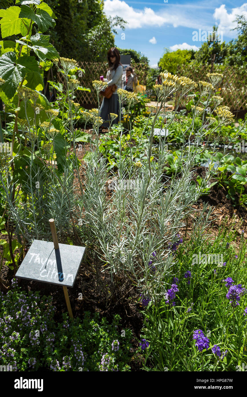 France, Ile-de-France, Paris (75), Garden festival in the Jardin des ...