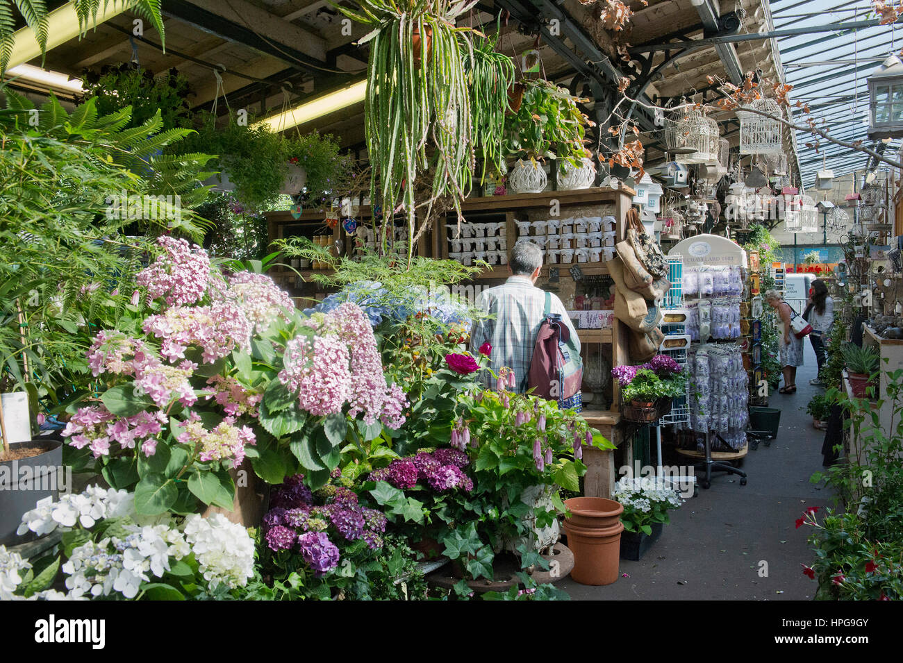 Reine elizabeth paris hi-res stock photography and images - Alamy