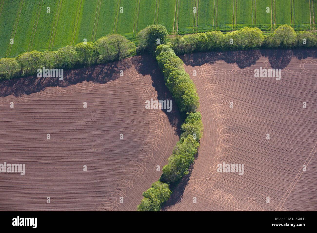 France, Landscape with plowed fields and tree alignment, aerial view ...