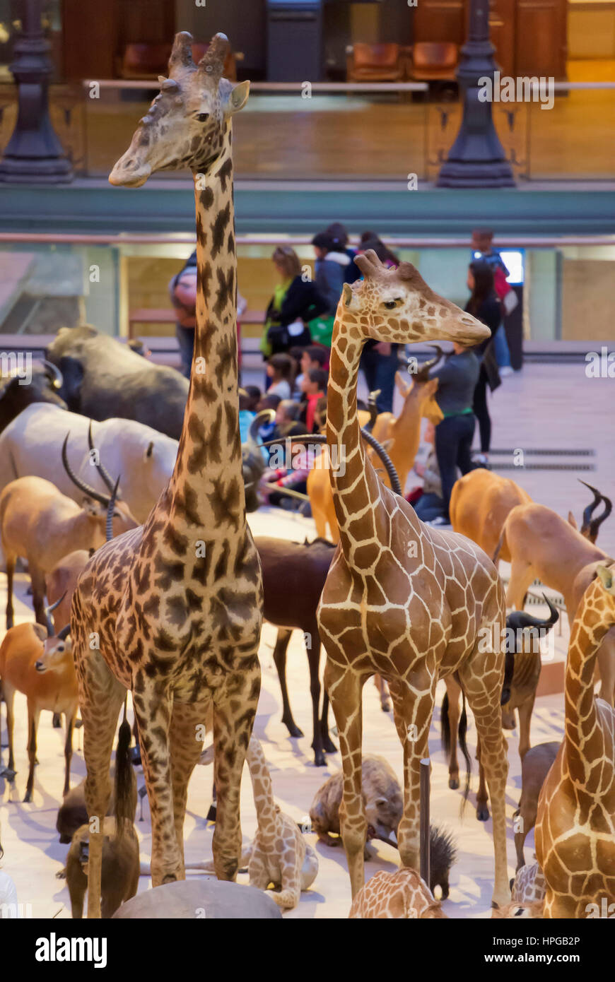France. Paris 5th district. The Jardin des plantes (Garden of Plants ...