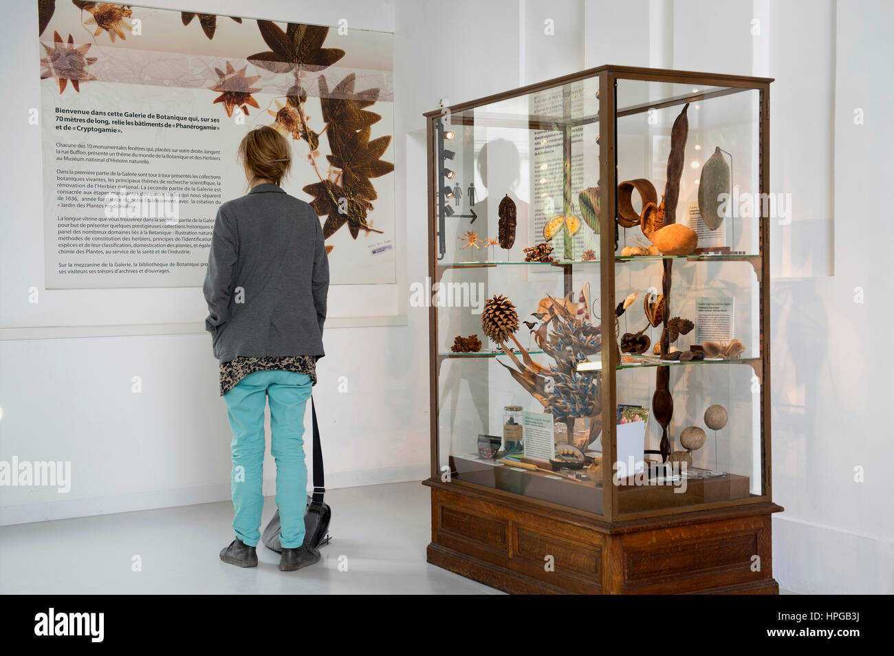 France. Paris 5th district. The Jardin des plantes. The Botany Gallery ...