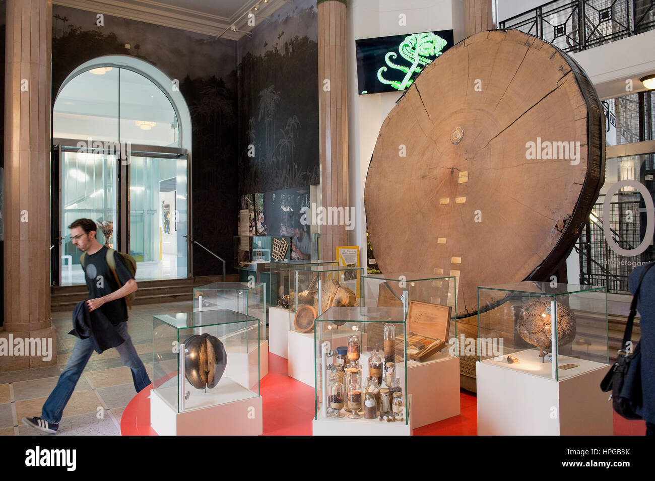 France. Paris 5th district. The Jardin des plantes. The Botany Gallery ...