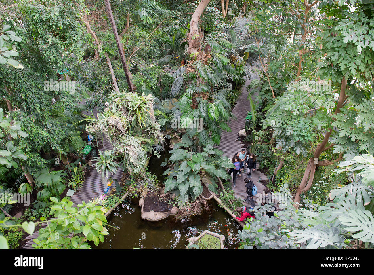 France. Paris 5th district. The Jardin des plantes (Garden of Plants ...