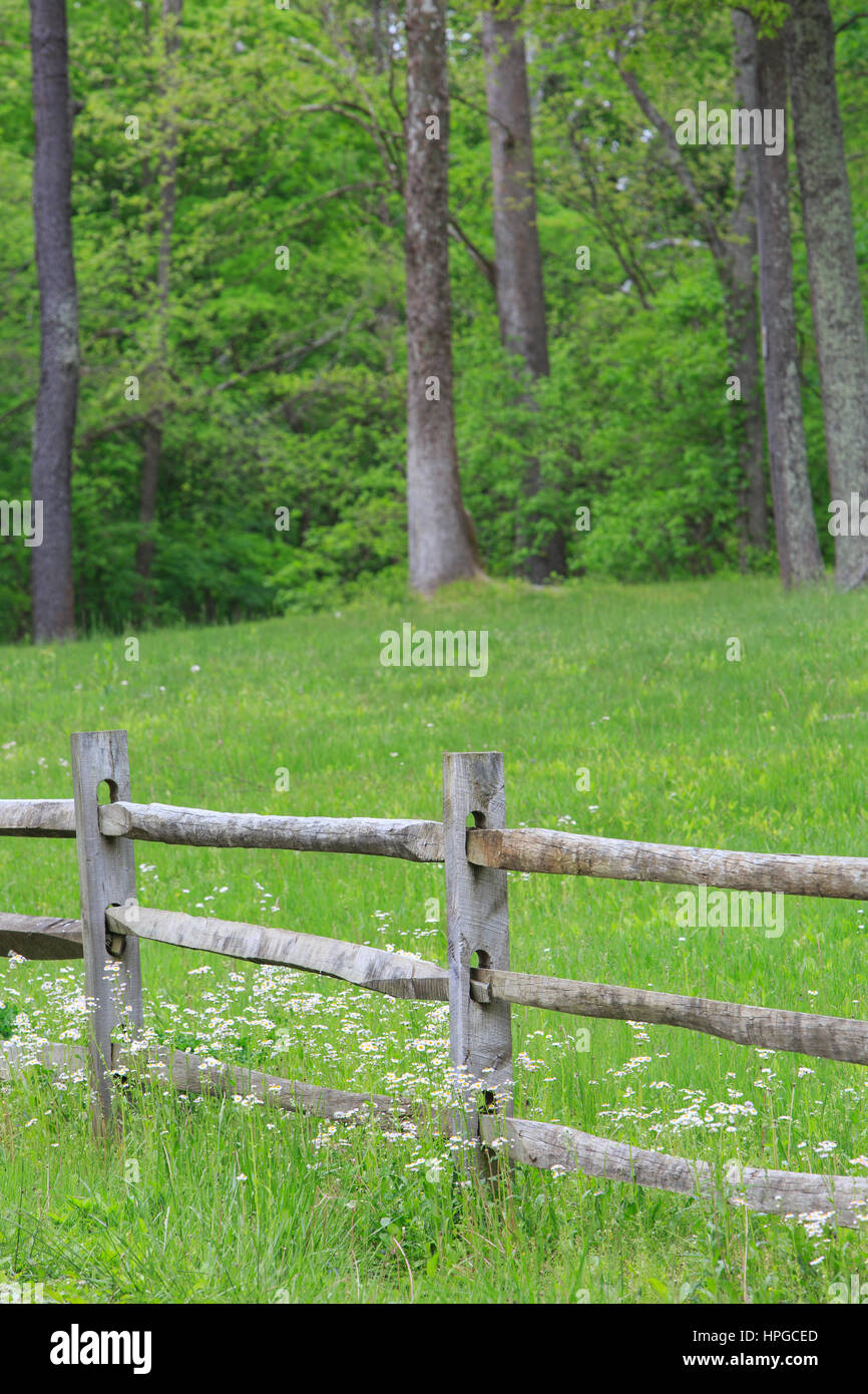 Wood fence along a field Stock Photo - Alamy