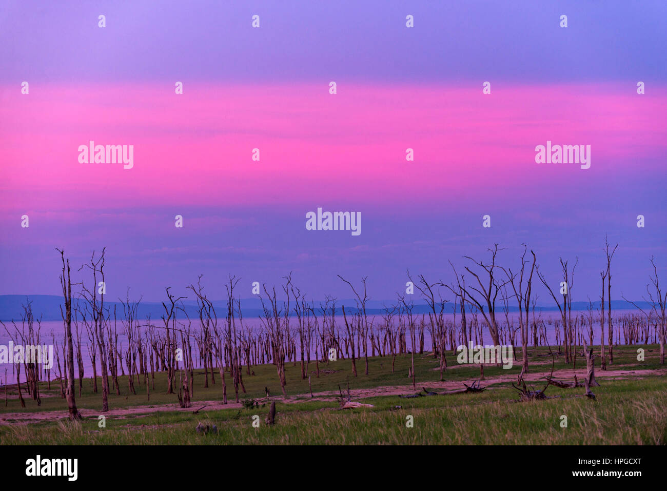 Tree lake kariba hi-res stock photography and images - Alamy