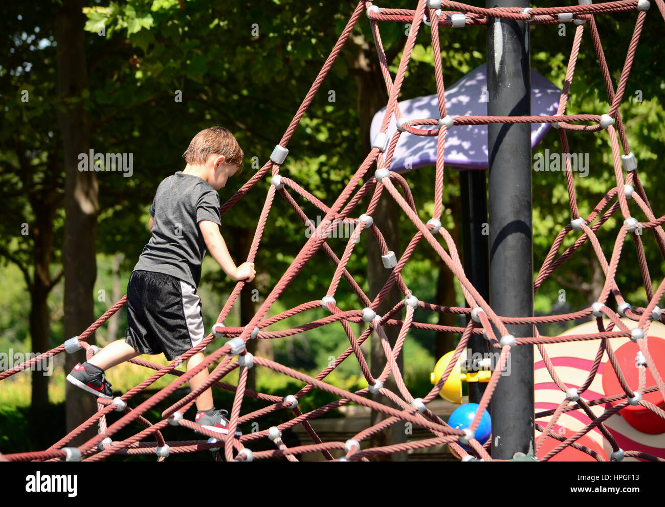 Jungle fun adventure hi-res stock photography and images - Alamy