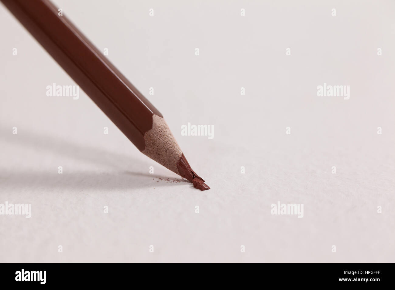 Close-up of maroon broken colored pencil on white background Stock ...