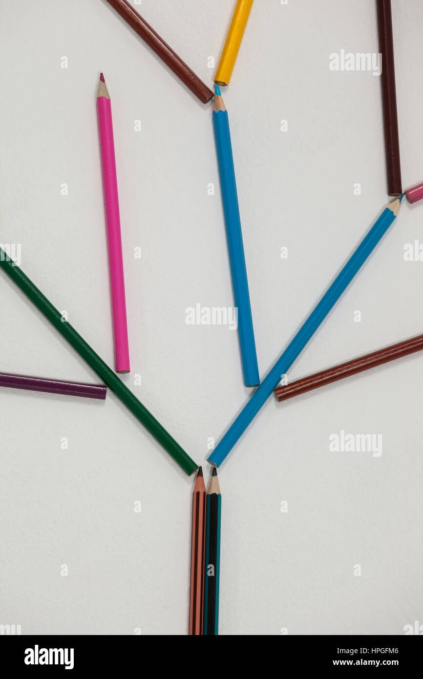 Close-up of colored pencil forming a tree on white background Stock ...