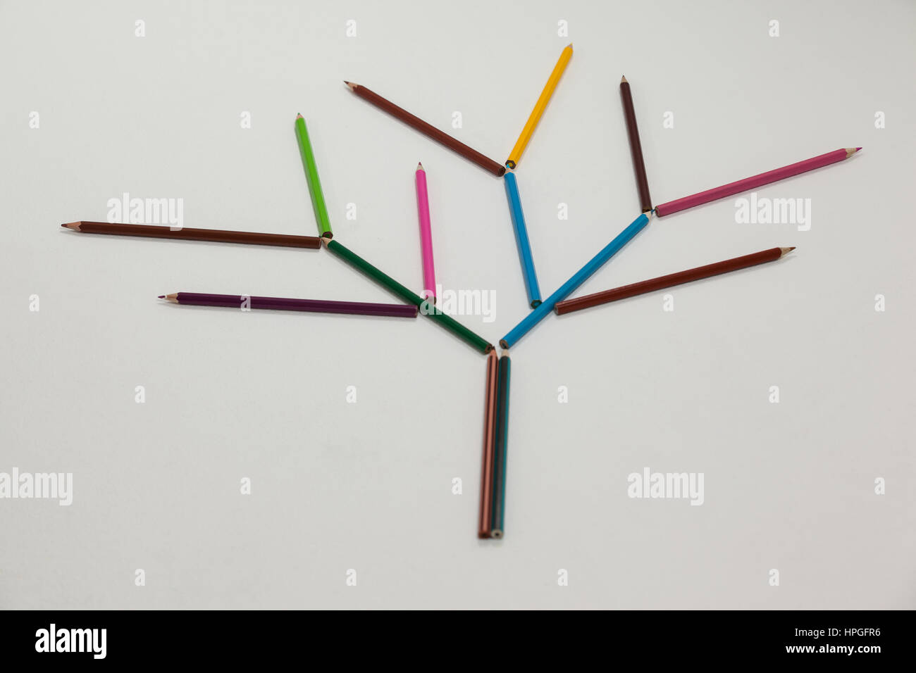Colored pencil forming a tree on white background Stock Photo - Alamy