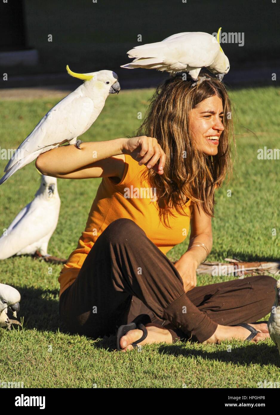 Australian garden birds hi-res stock photography and images - Alamy