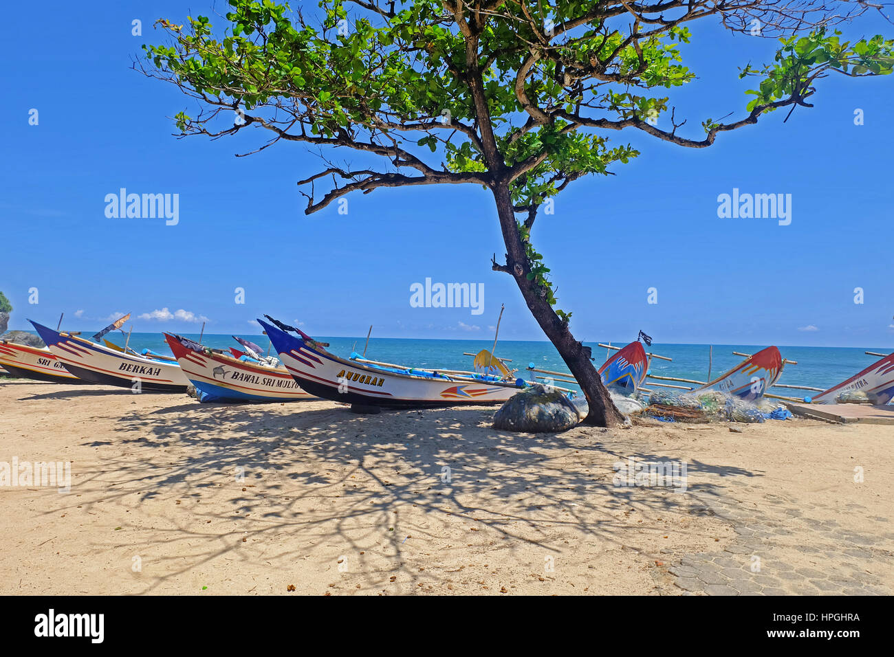 Kukup an Sepanjang beach in Yogyakarta, Indonesia Stock Photo - Alamy