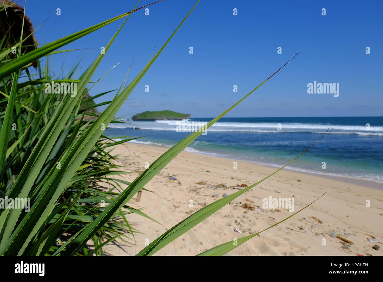 Kukup an Sepanjang beach in Yogyakarta, Indonesia Stock Photo - Alamy
