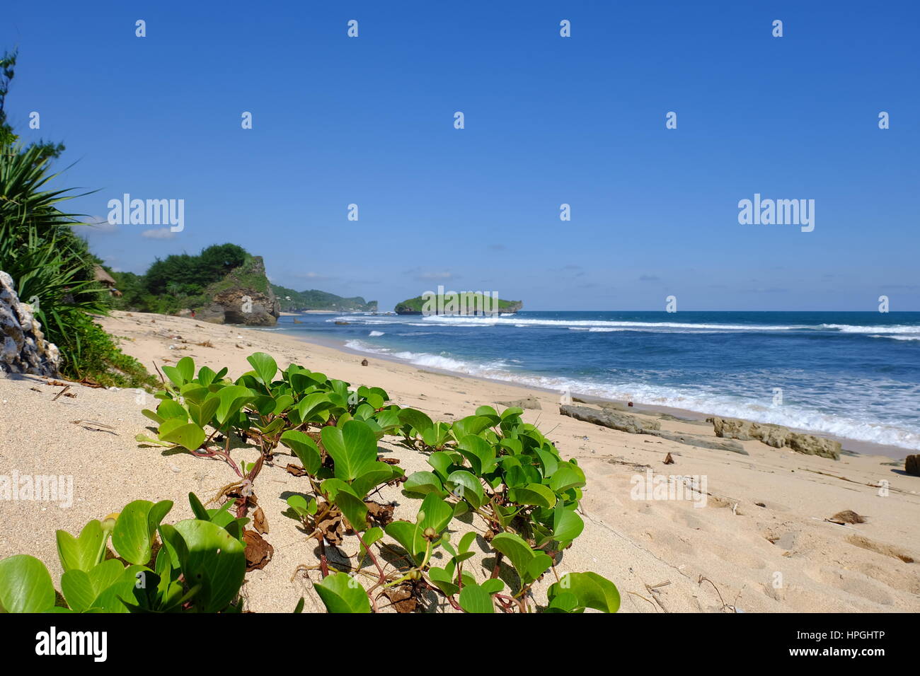 Kukup an Sepanjang beach in Yogyakarta, Indonesia Stock Photo - Alamy