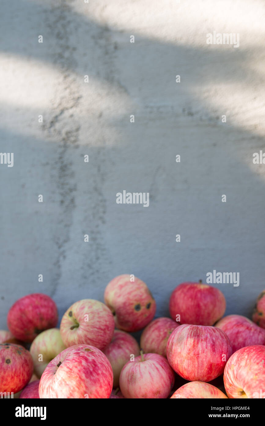 Pile of ripe red apples over gray rought cement wall background with ...