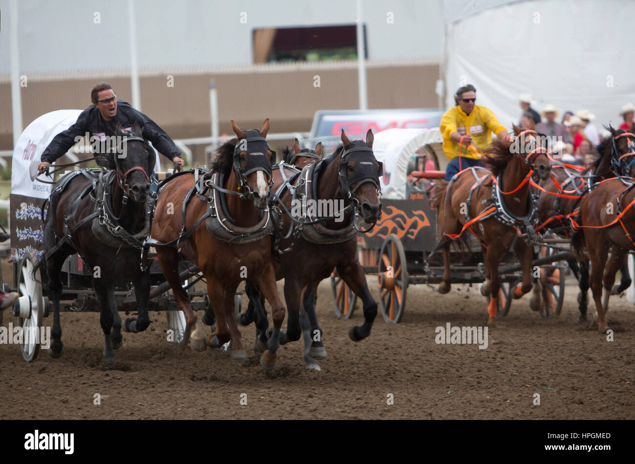 Horse cart racing america hi-res stock photography and images - Alamy