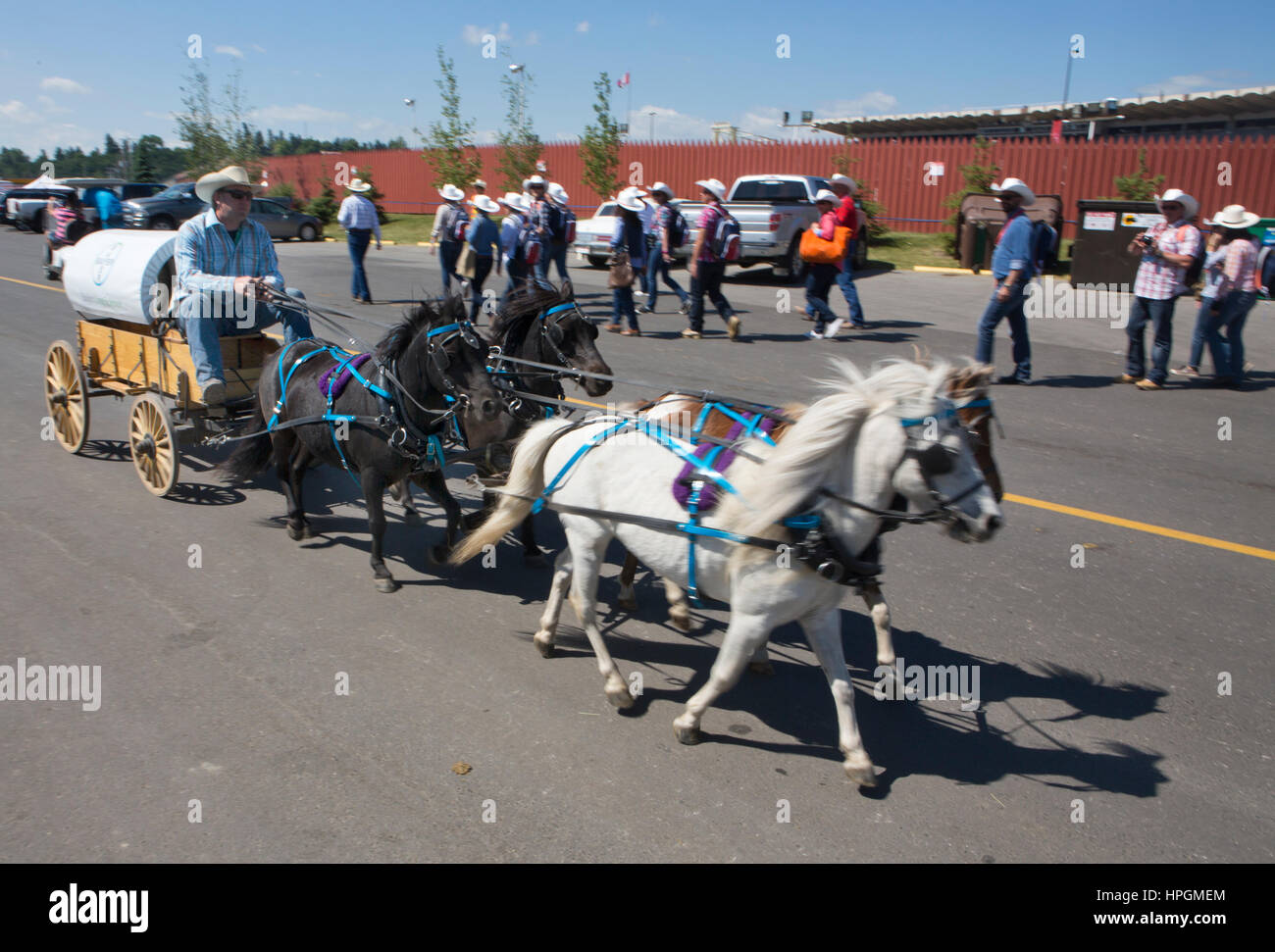 Horse cart racing america hi-res stock photography and images - Alamy
