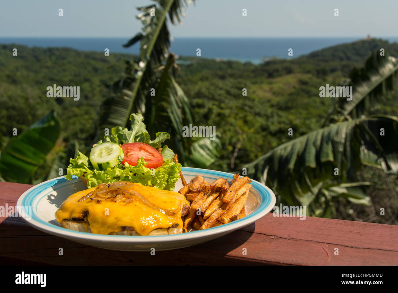 Cheeseburger in paradise hi-res stock photography and images - Alamy