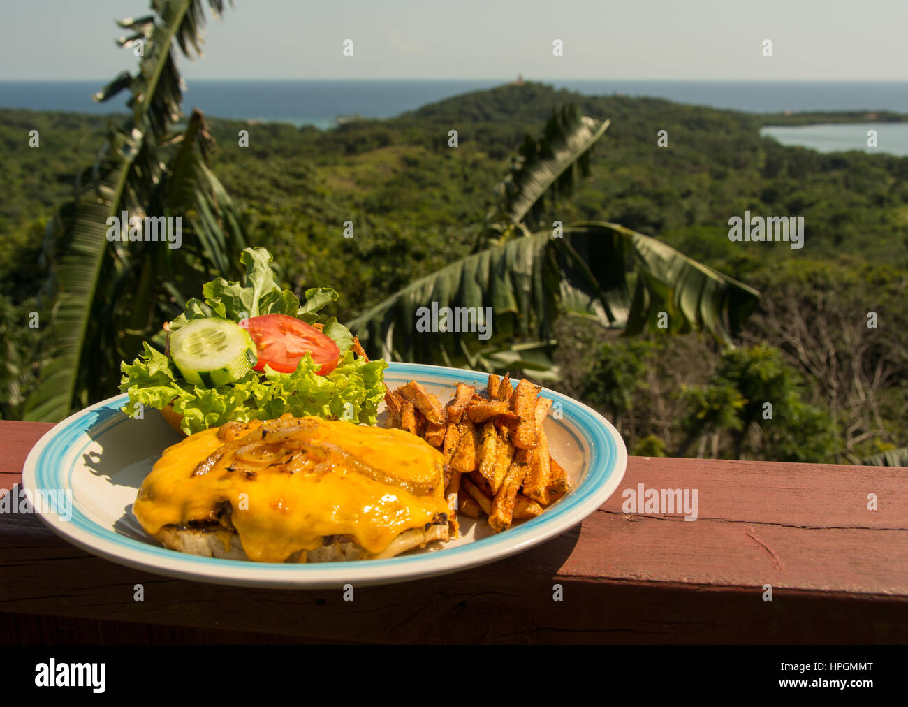 Cheeseburger in tropical setting Stock Photo - Alamy