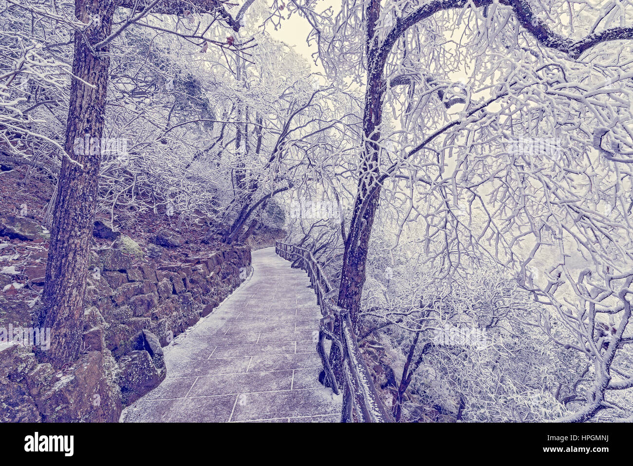 Winter evening landscape in Huangshan National park. Park located in ...