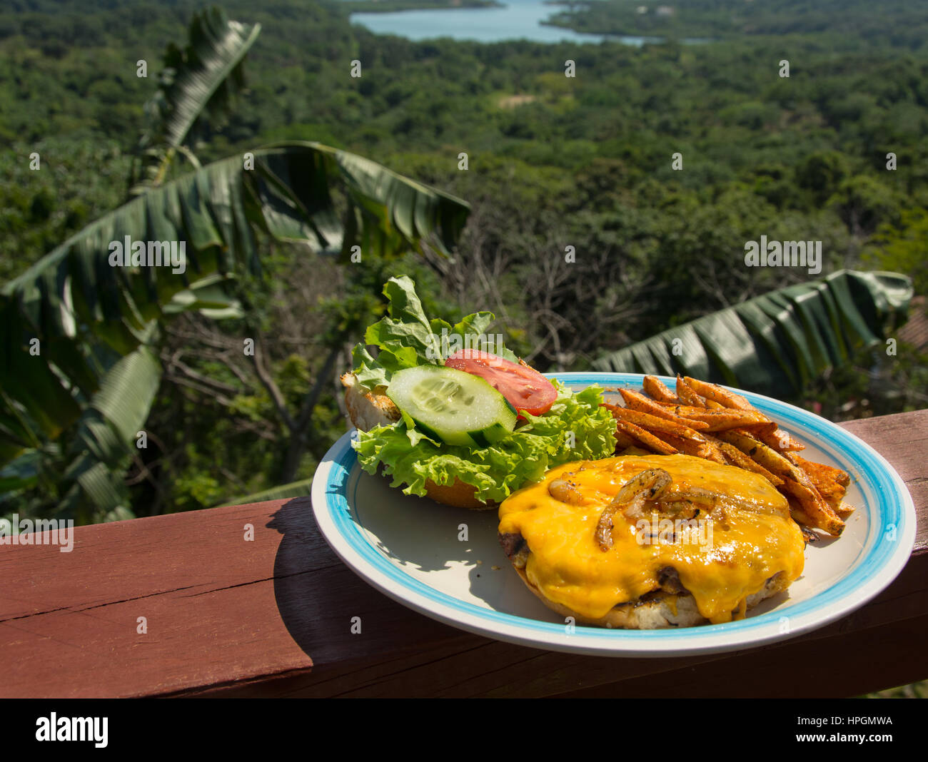 Cheeseburger in tropical setting Stock Photo - Alamy
