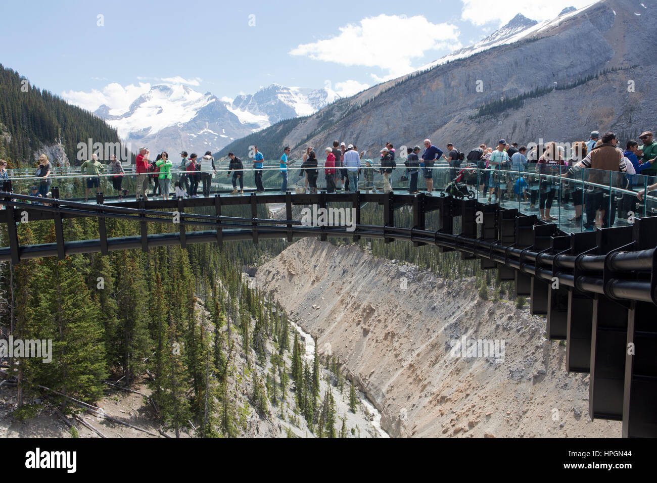 Glacier Skywalk at jasper national park, Canada Stock Photo - Alamy