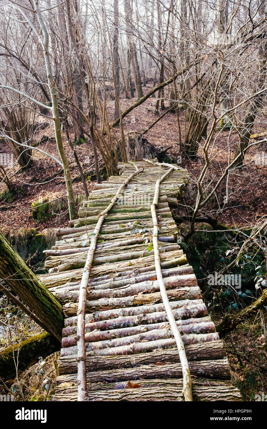 wooden bridge built in the woods with local material Stock Photo - Alamy