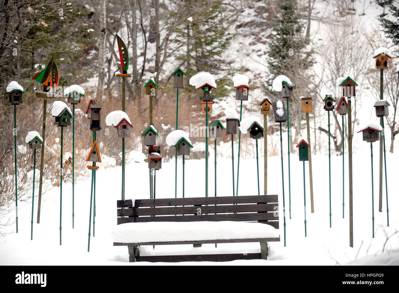 bird house and a bench Stock Photo - Alamy
