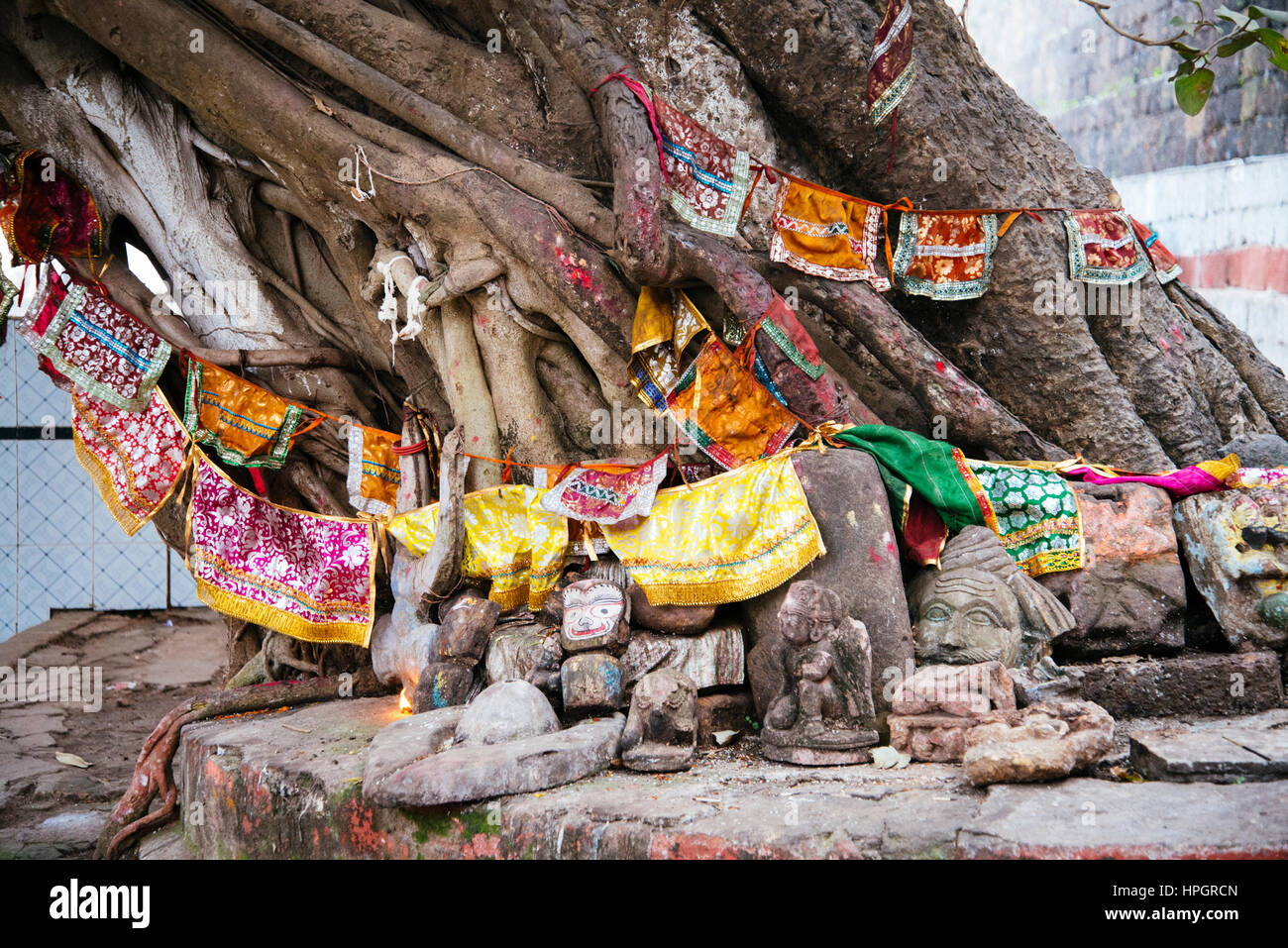 Banyan tree and idols, Bhubaneshvara, India Stock Photo - Alamy