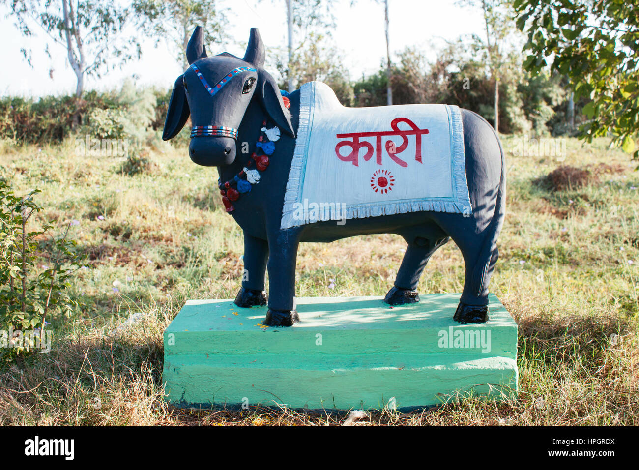 Kari cow at Ter Kadamba Nandagaon, India Stock Photo - Alamy