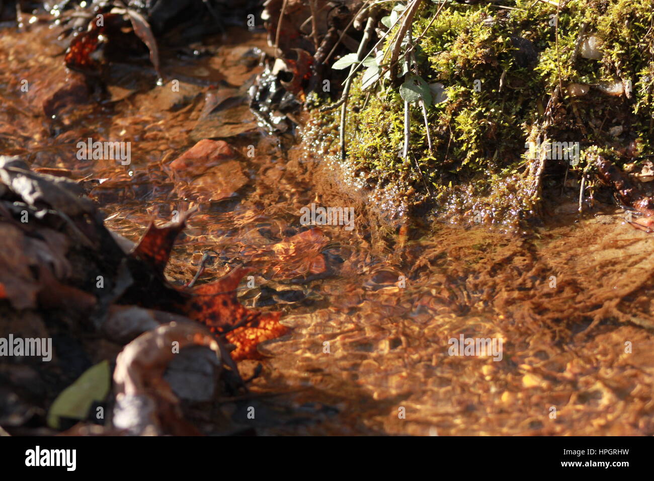 Spring waters hi-res stock photography and images - Alamy