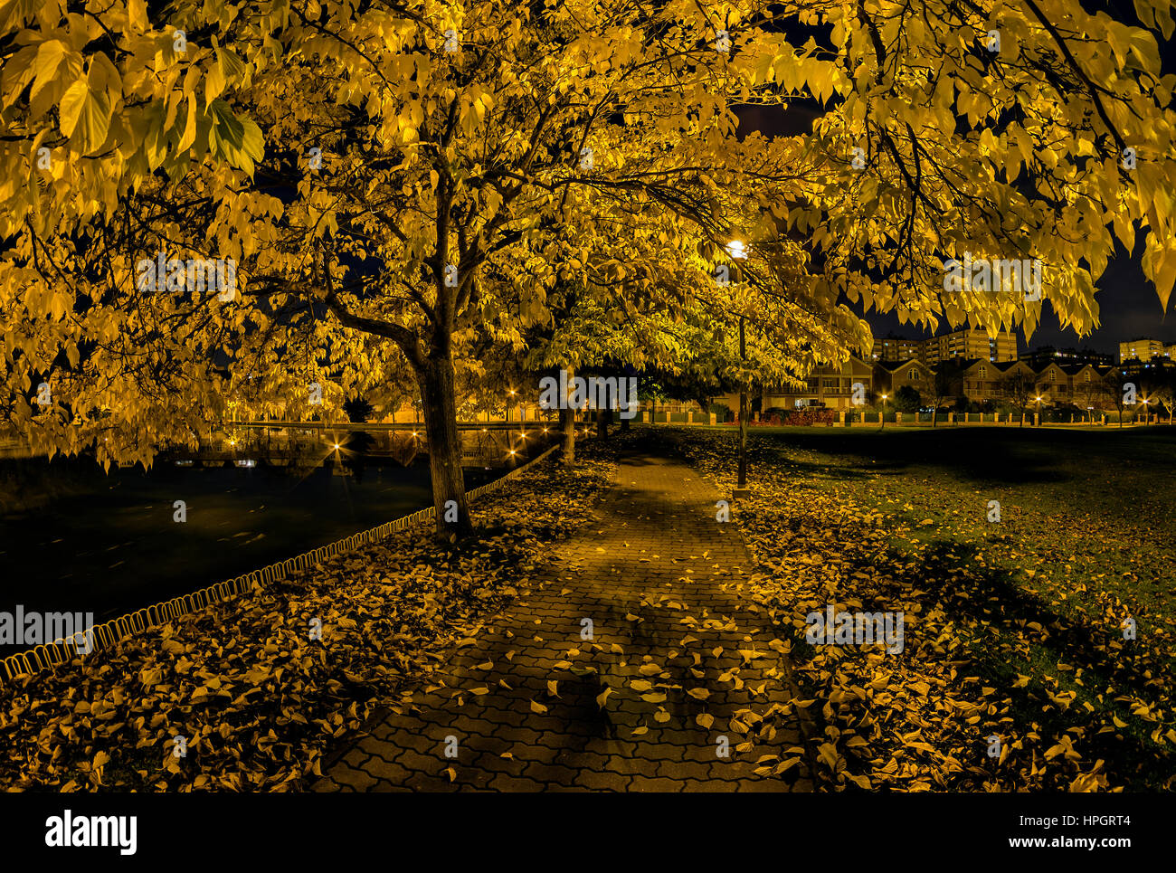 Parque del lago hi-res stock photography and images - Alamy