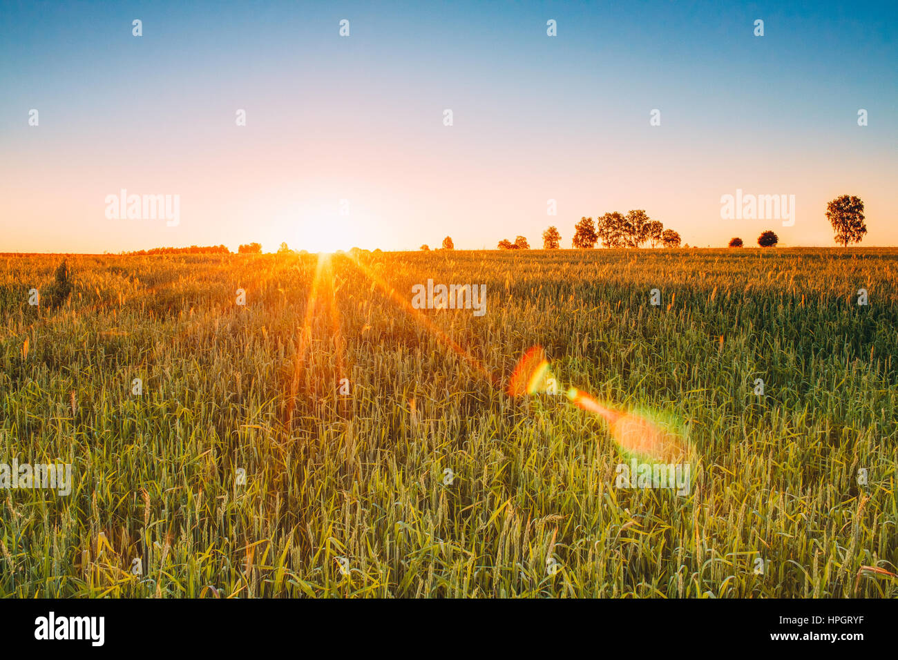 Ray of light over field hi-res stock photography and images - Alamy