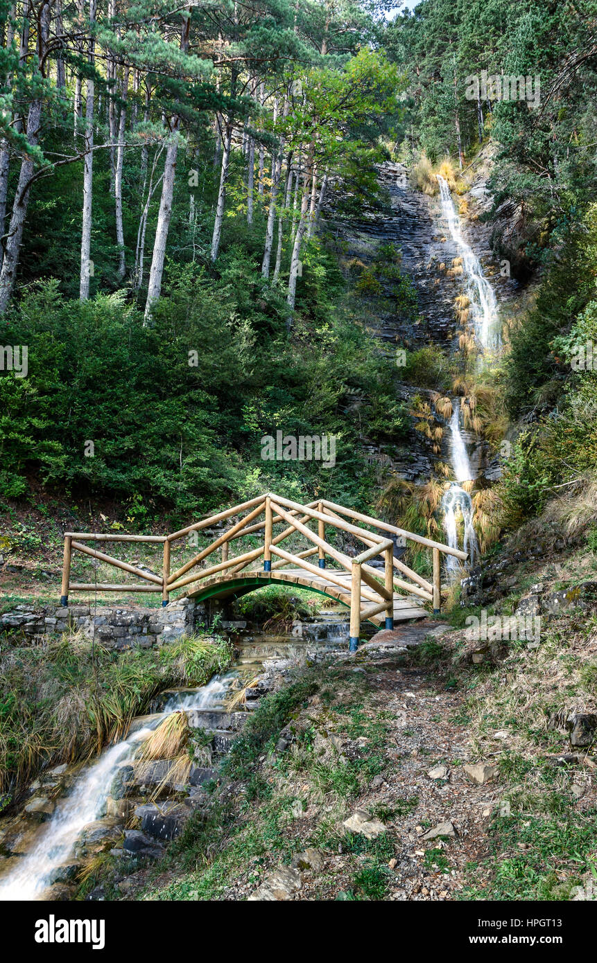 Ravine ecosystem hi-res stock photography and images - Alamy