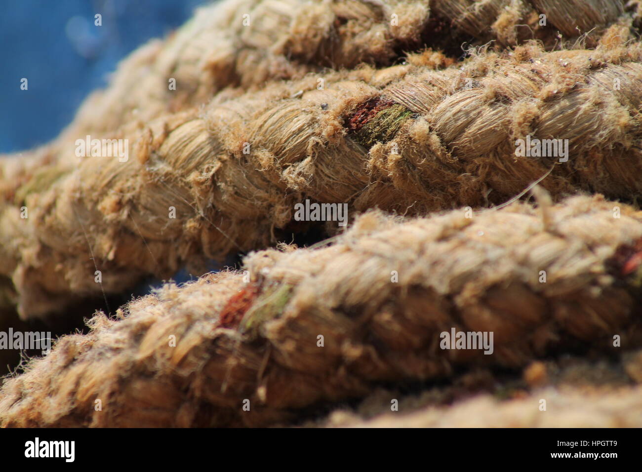 Macro rope hi-res stock photography and images - Alamy