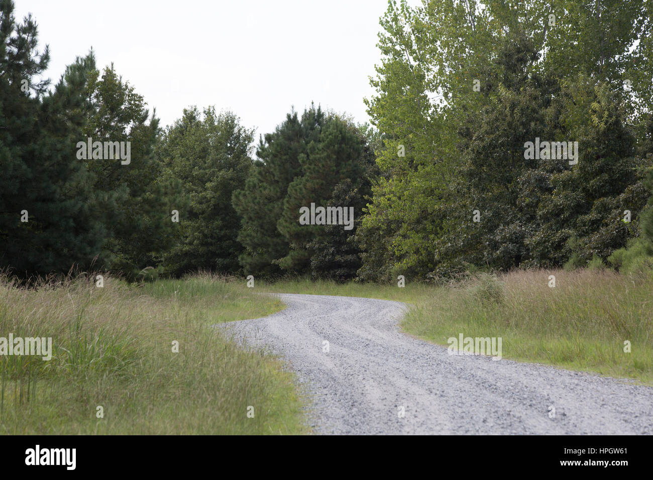 A winding dirt road in a beautiful spring landscape Stock Photo - Alamy
