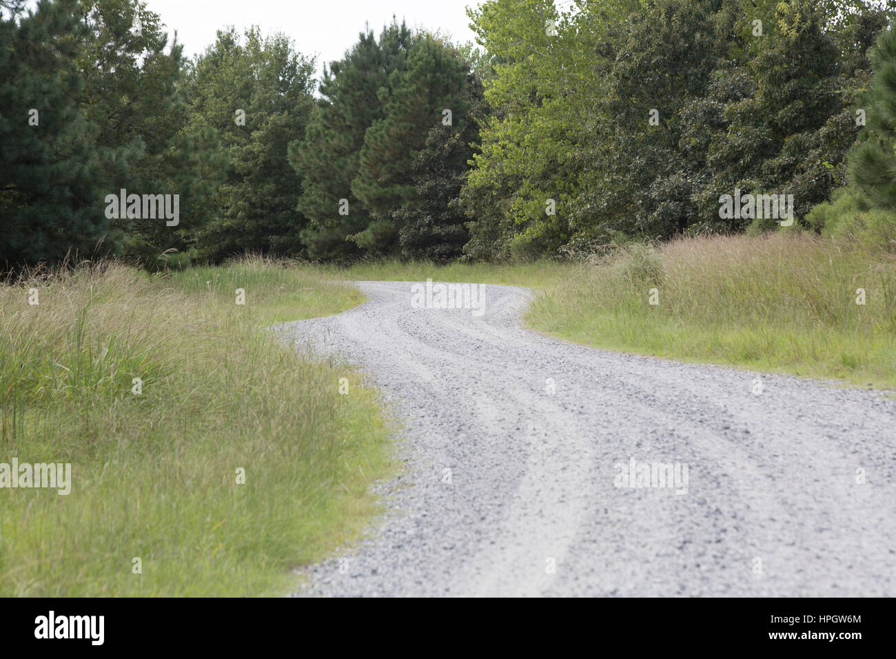 A winding dirt road in a beautiful spring landscape Stock Photo - Alamy