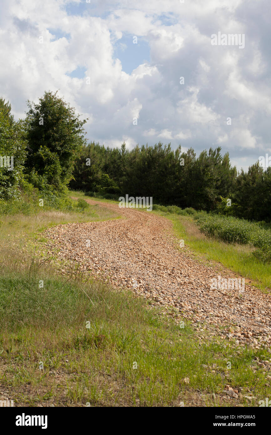 A winding dirt road in a beautiful spring landscape Stock Photo - Alamy