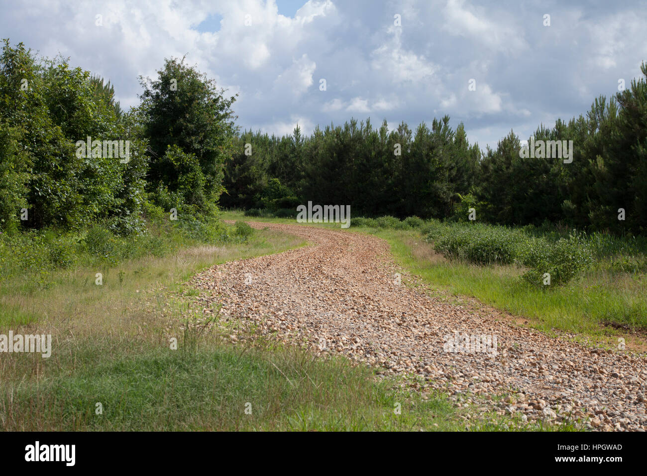 A winding dirt road in a beautiful spring landscape Stock Photo - Alamy