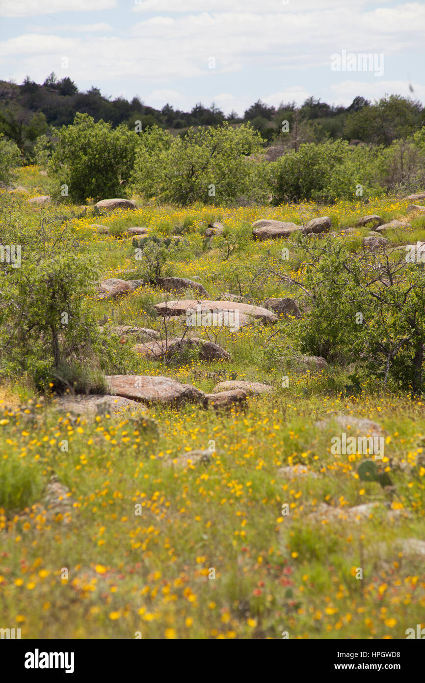 Prairie wichita mountains oklahoma hi-res stock photography and images ...