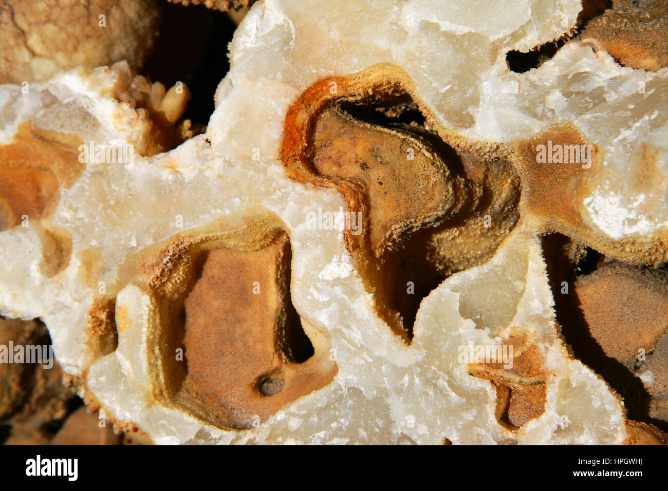 Prehistoric quarry hi-res stock photography and images - Alamy
