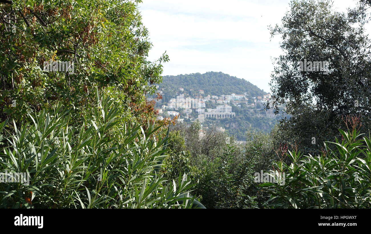 Parc du Mont Boron, In Nice, France during the fall Stock Photo - Alamy