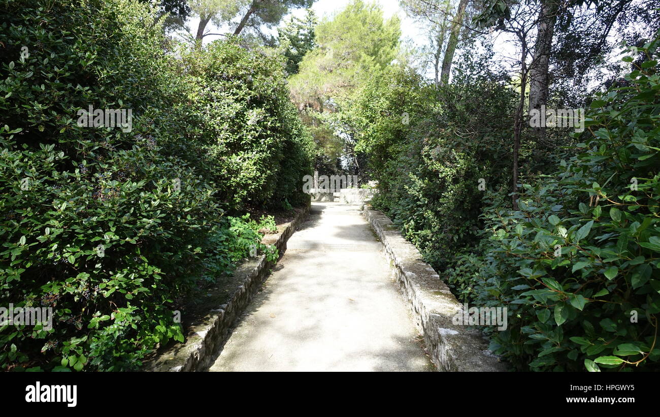 Parc du Mont Boron, In Nice, France during the fall Stock Photo - Alamy