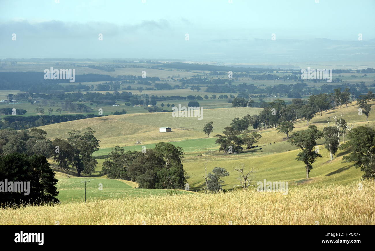 Broad panorama of the countryside in North Gippsland of Victoria Stock ...
