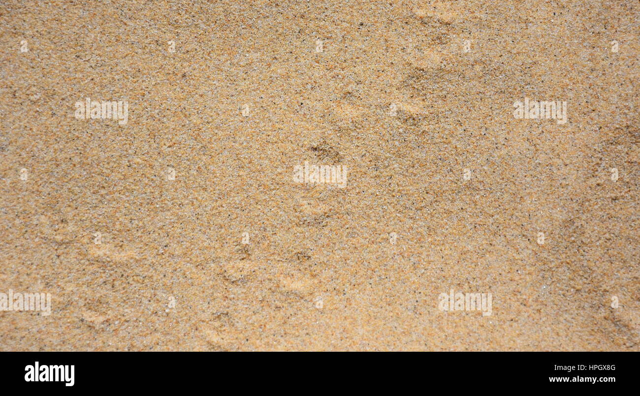 Seamless sand background. Beautiful sand background. Sand Texture ...