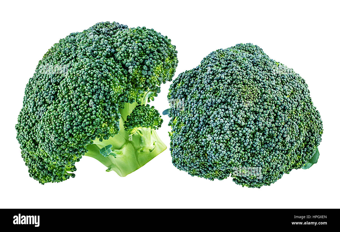 Broccoli isolated on white background Stock Photo - Alamy