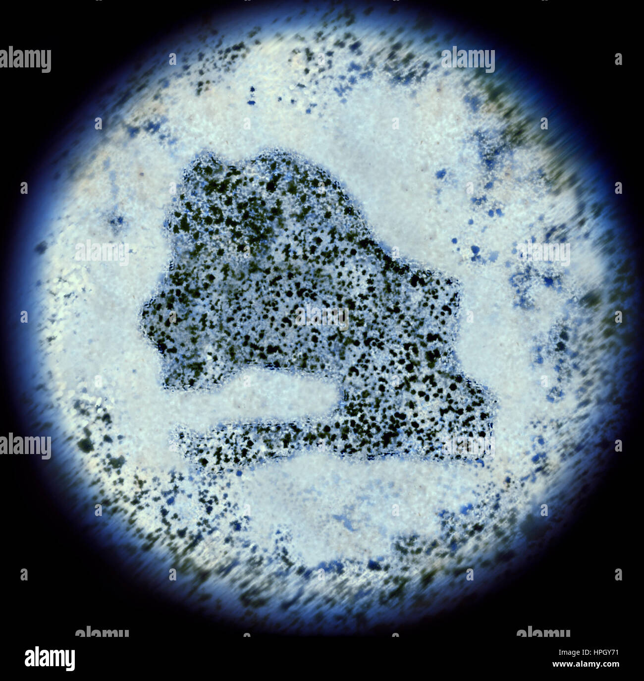 Microscope view hi-res stock photography and images - Alamy