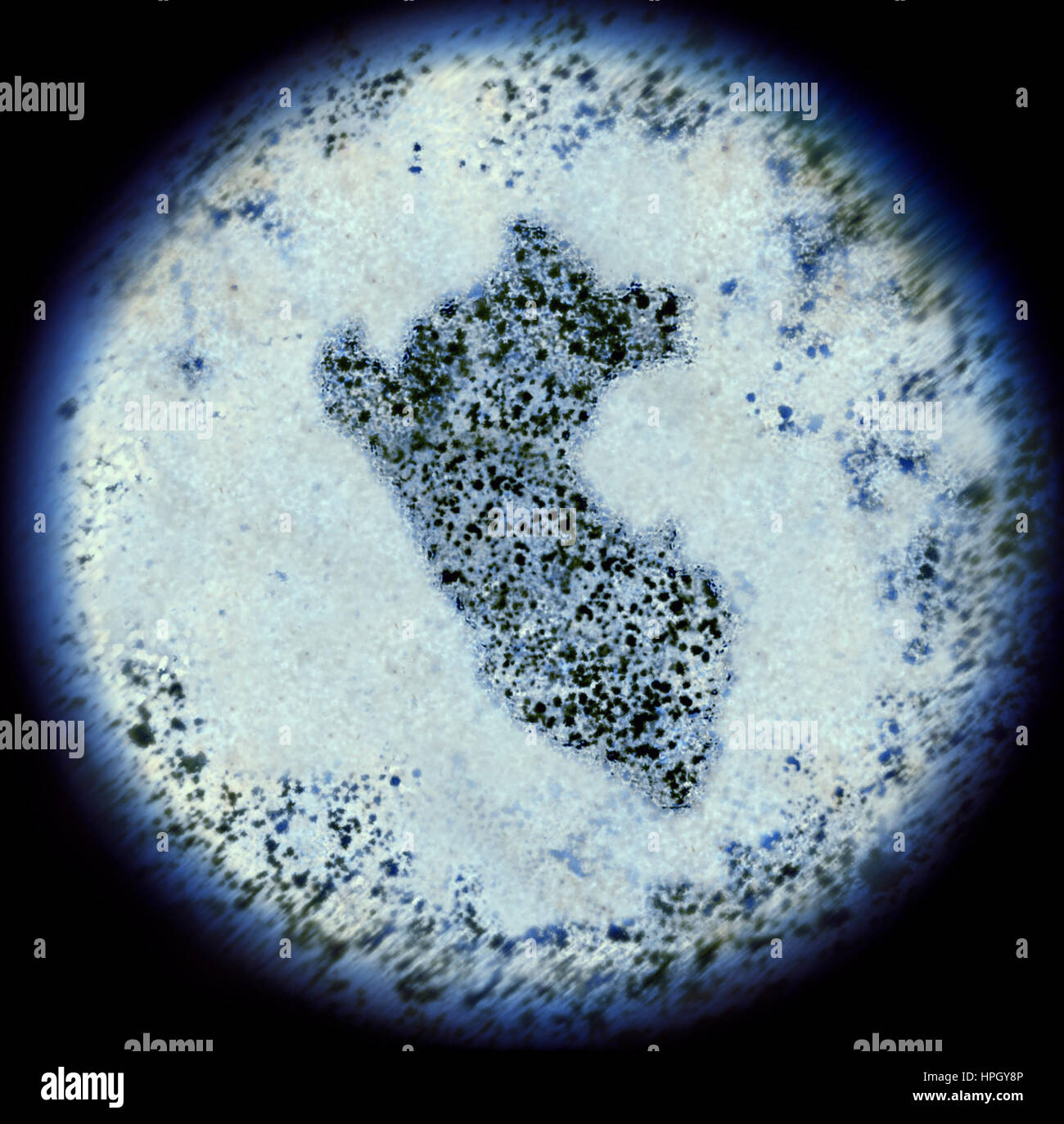 A simulated view through a microscope on bacterias in the shape of Peru ...
