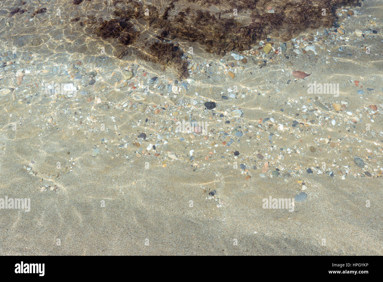 Shallow sea water with pebbles and sand substrate Stock Photo - Alamy
