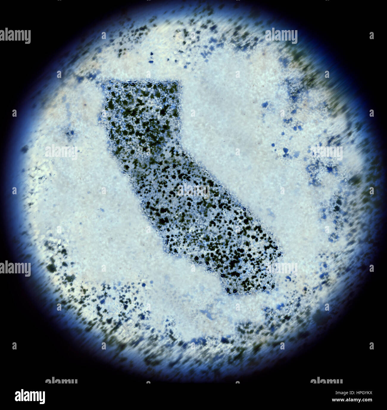 A simulated view through a microscope on bacterias in the shape of ...