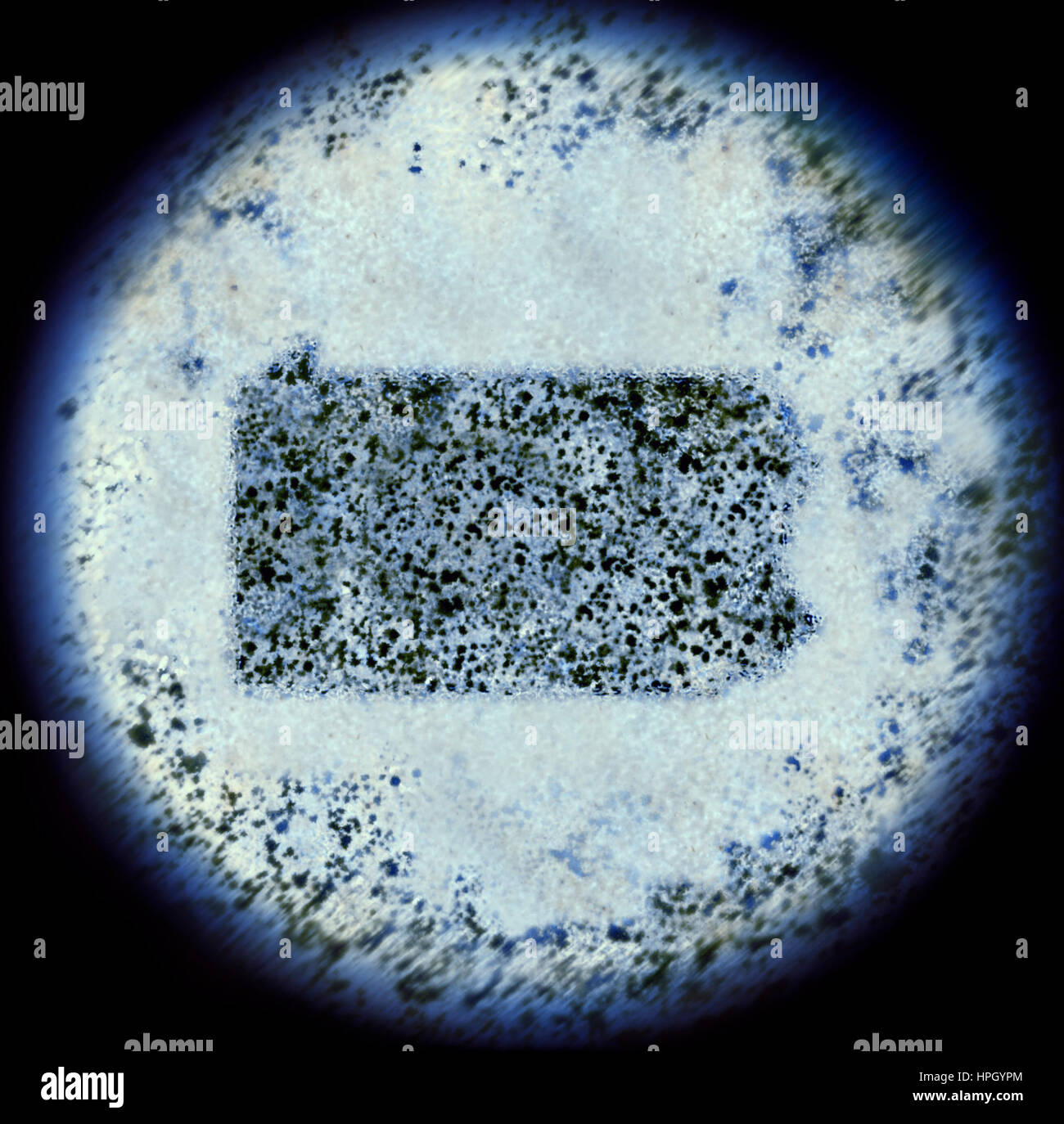 A simulated view through a microscope on bacterias in the shape of ...